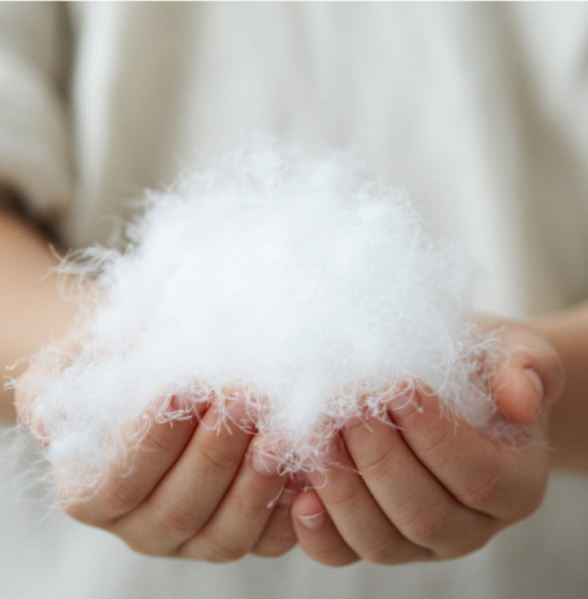 Recycled Down – Rewardown